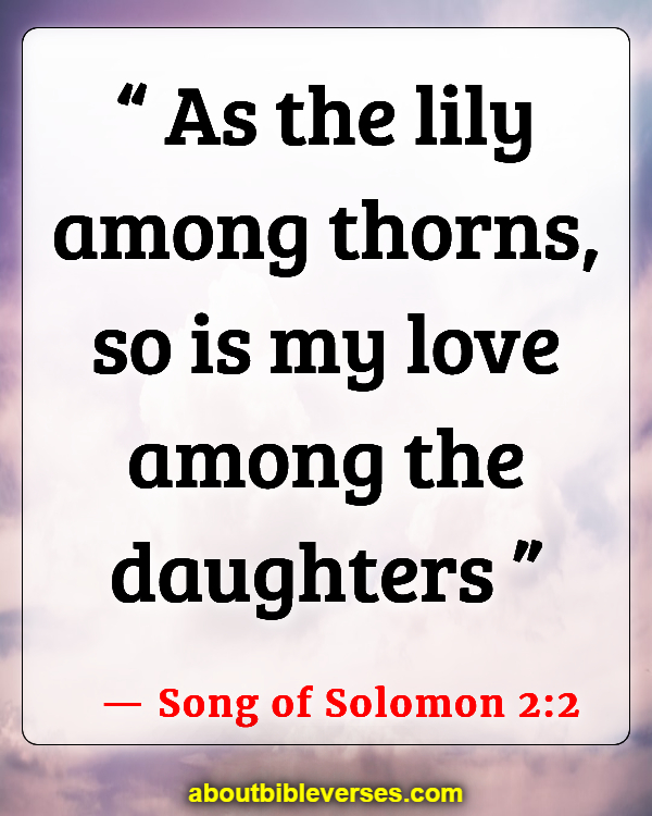 [Best] 14+Bible Verses About Rose Of Sharon - KJV Scripture