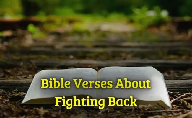 [Best] 38+Bible Verses About Trials Making Us Stronger - KJV