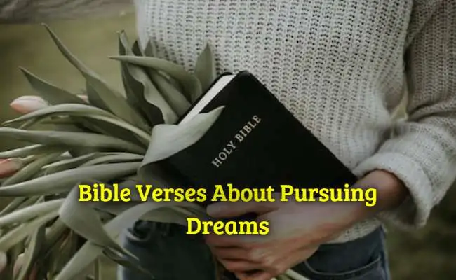 [Best] 33+Bible Verses About Pursuing Dreams - KJV Scripture